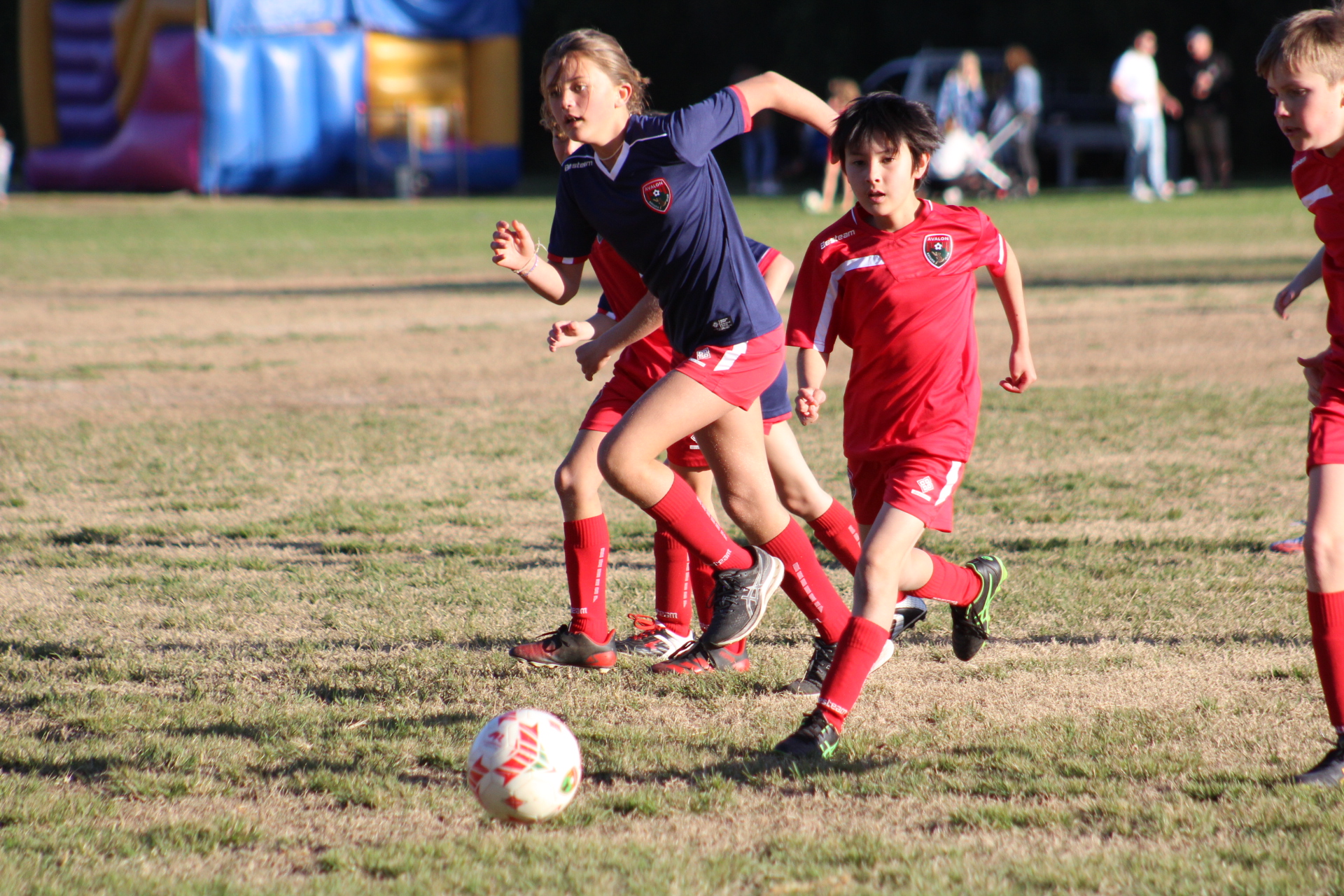 Pittwater Online News